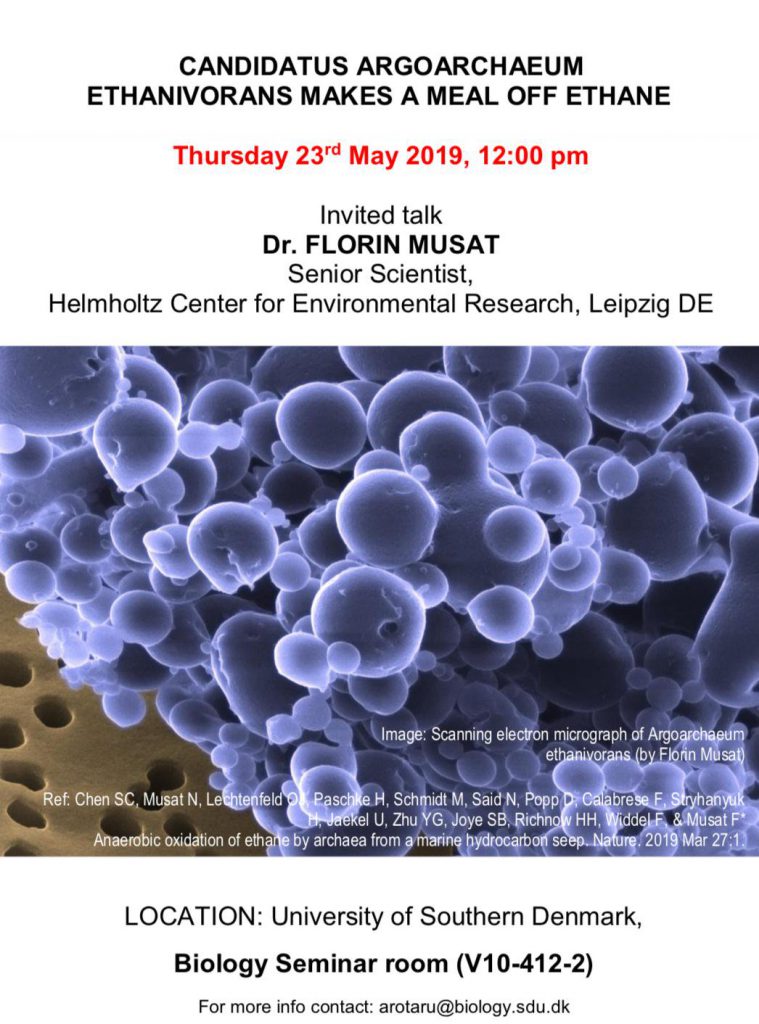 Florin Musat gave a seminar on anaerobic ethane oxidation – Rotaru Lab